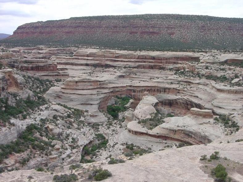 Natural Bridges: A Natural Wonder, Naturally | Onward Trip